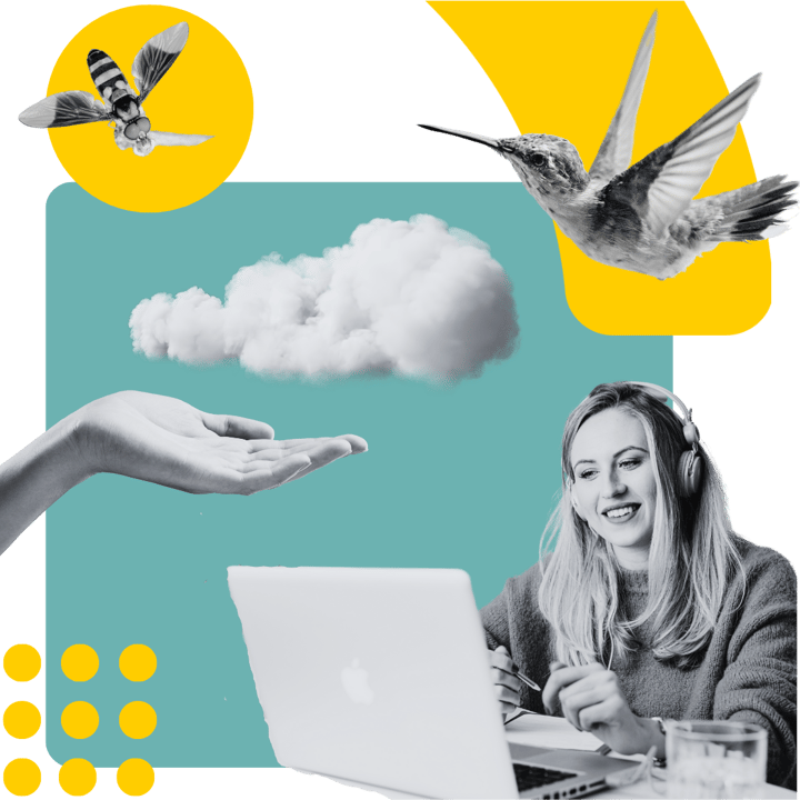 Hoverfly Cloud | API Simulation & Service Virtualisation